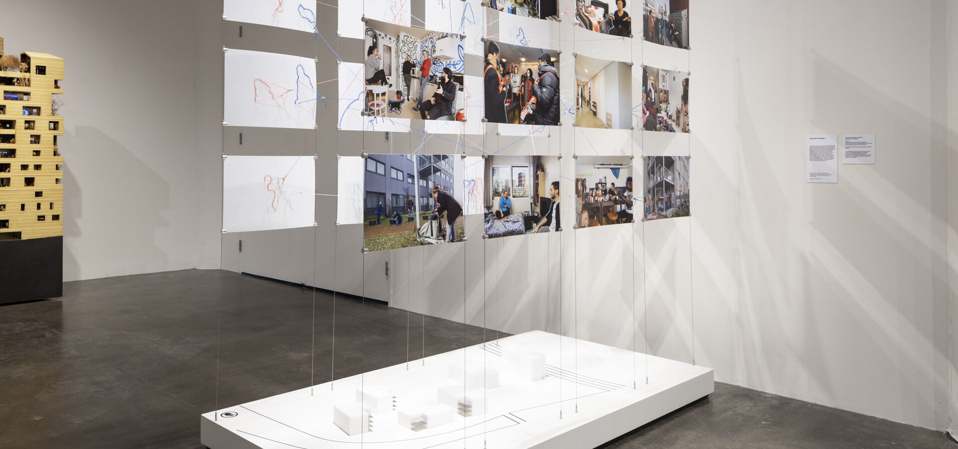 Designing Peace - MCD